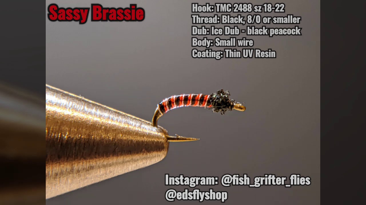 Sassy Brassie Fly - YouTube