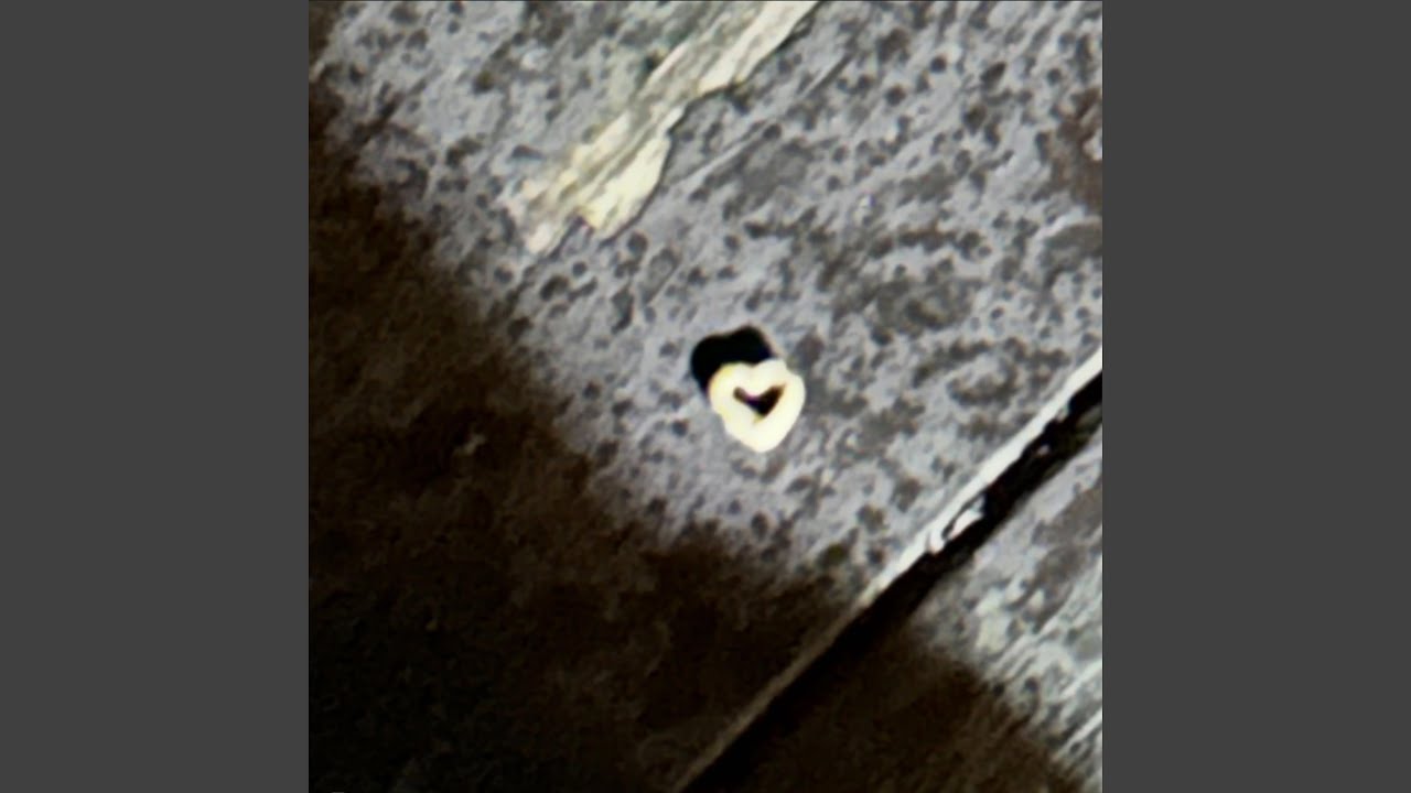 Geek music - YouTube