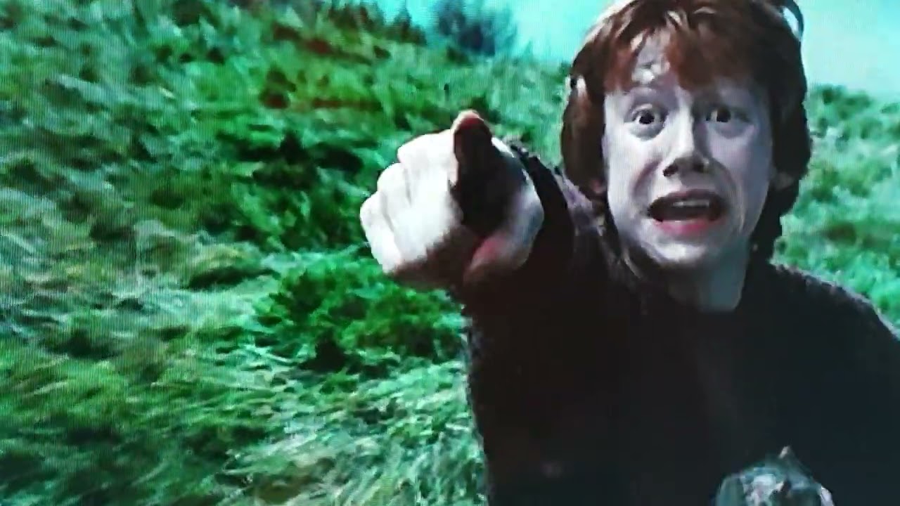 harry potter and the prisoner of azkaban whomping willow grub ron leg - YouTube