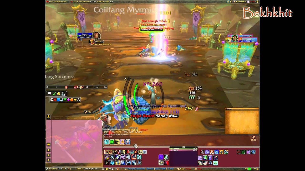 [World of Warcraft] The Steamvault duoed by hunter and paladin part 3 ...