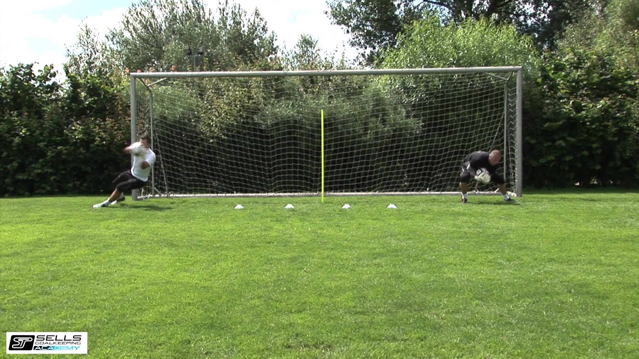 PROFESSIONAL GOALKEEPER TRAINING SESSIONS (COMPLETE SESSION PREVIEW ...