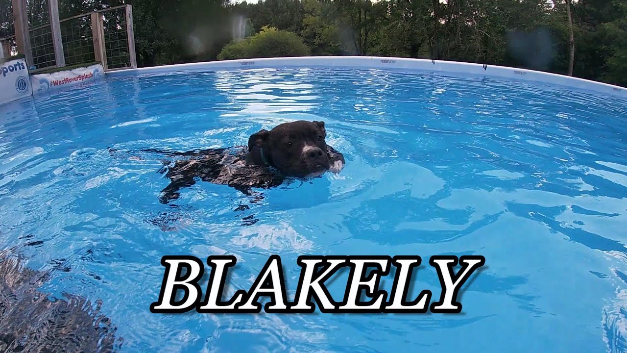 Blakely Swim Club - YouTube
