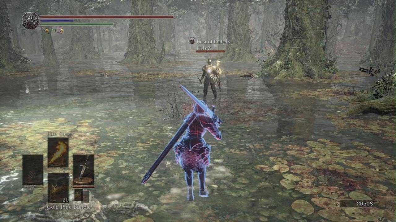 Ds3 swamp battle - YouTube