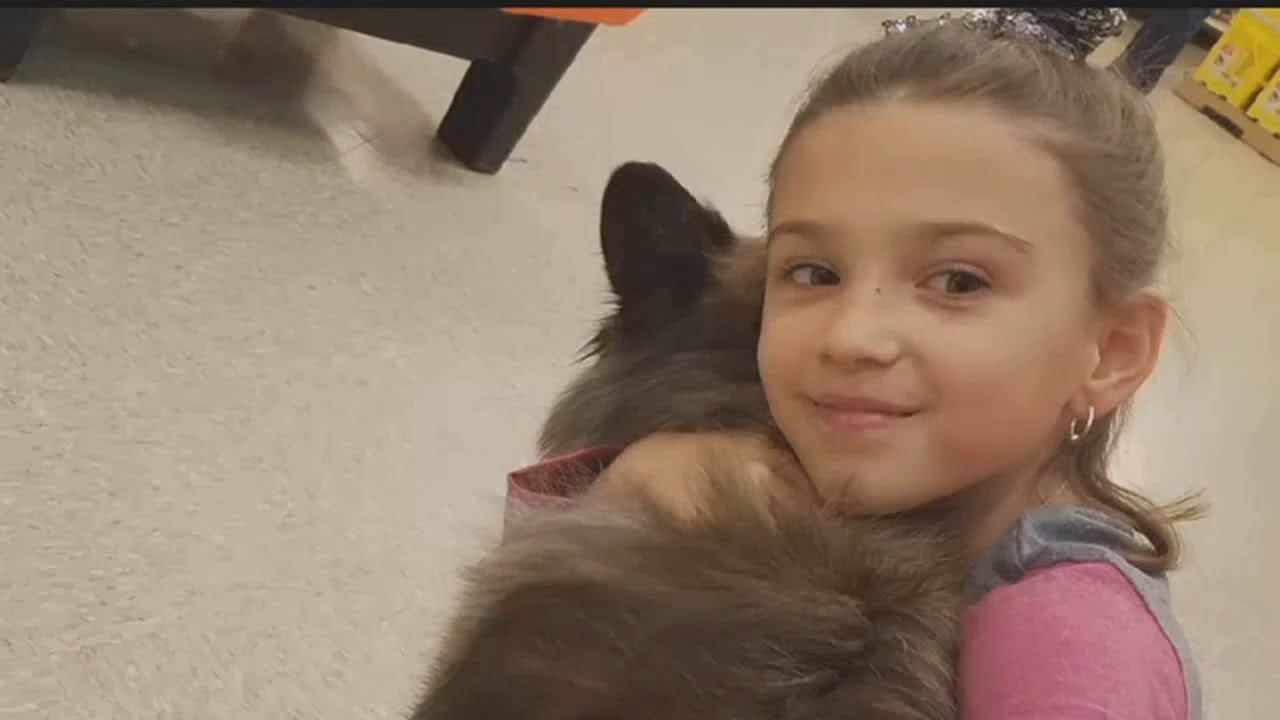 Could Logan Hetherington's family or friends be charged in the suspect ...