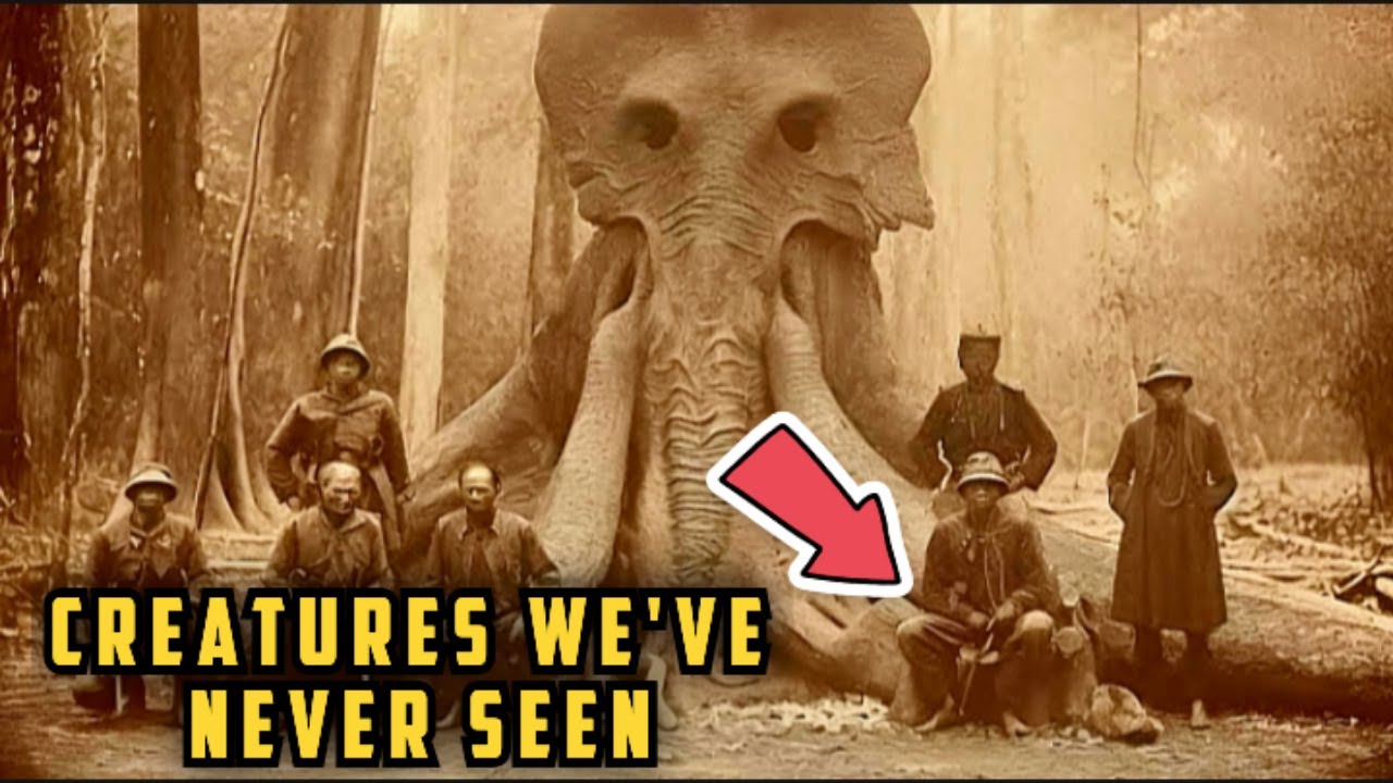 Enigmatic Creatures Haunted by Noble Aristocrats During the Reign of ...