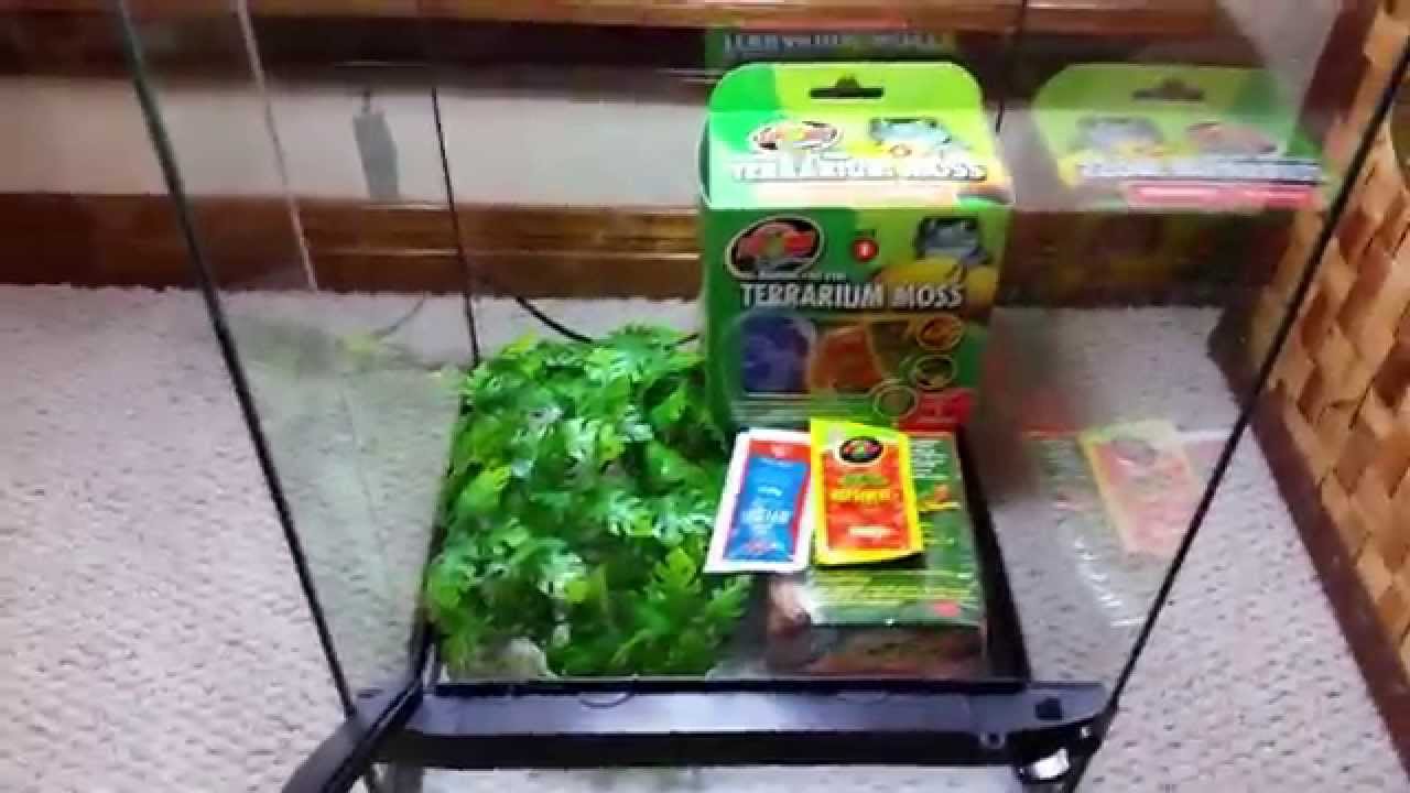 Zoo Med Frog Kit - YouTube