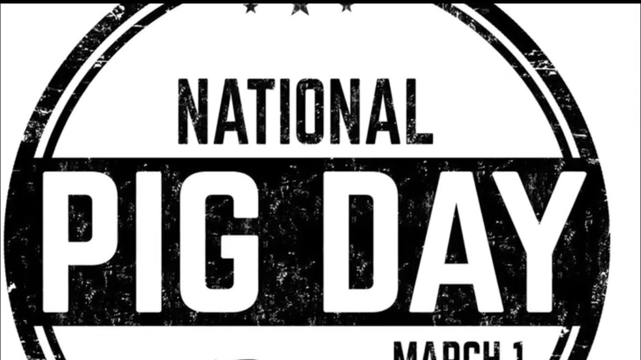 March 1 - National Pig Day | Hog | Farm Animal - YouTube