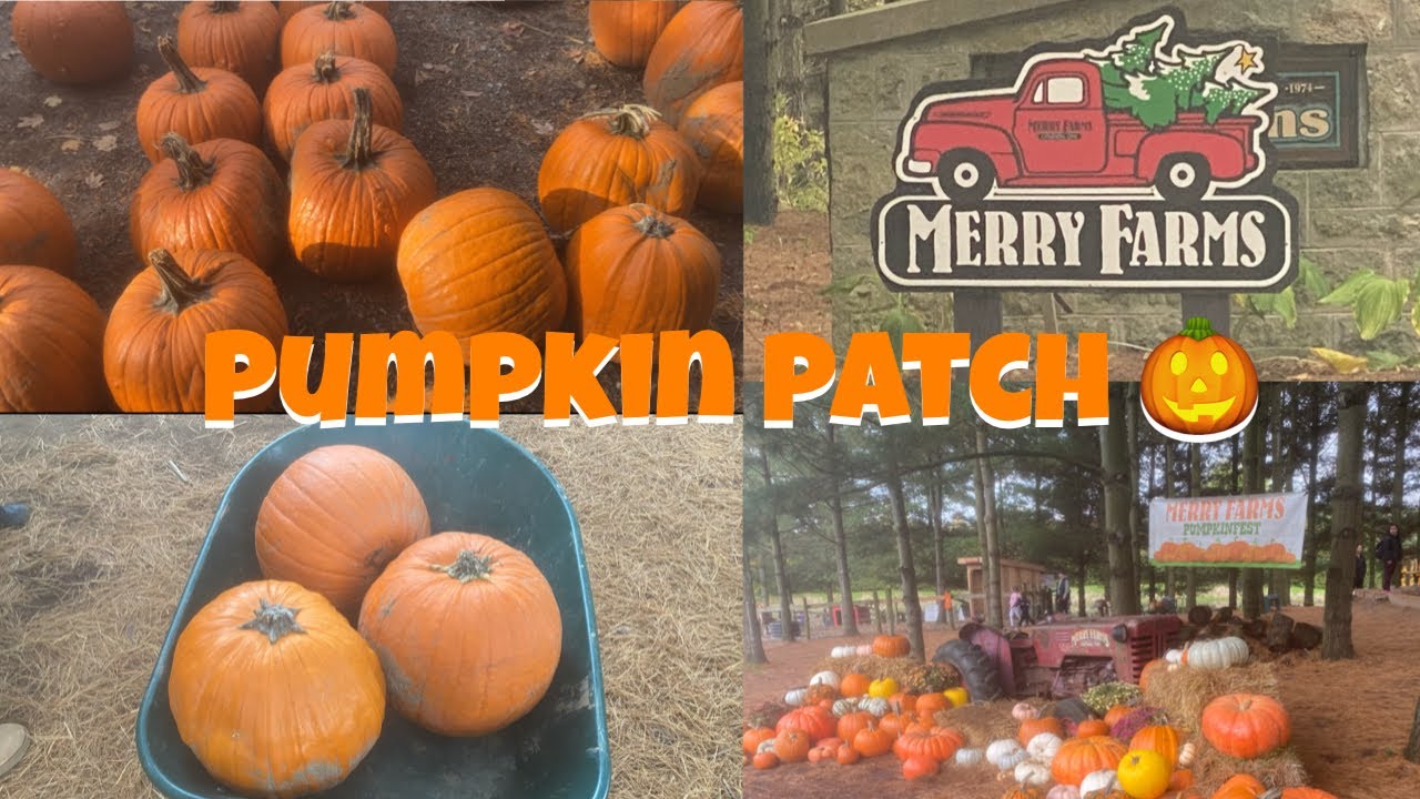 Pumpkin Patch || Merry Farms - YouTube