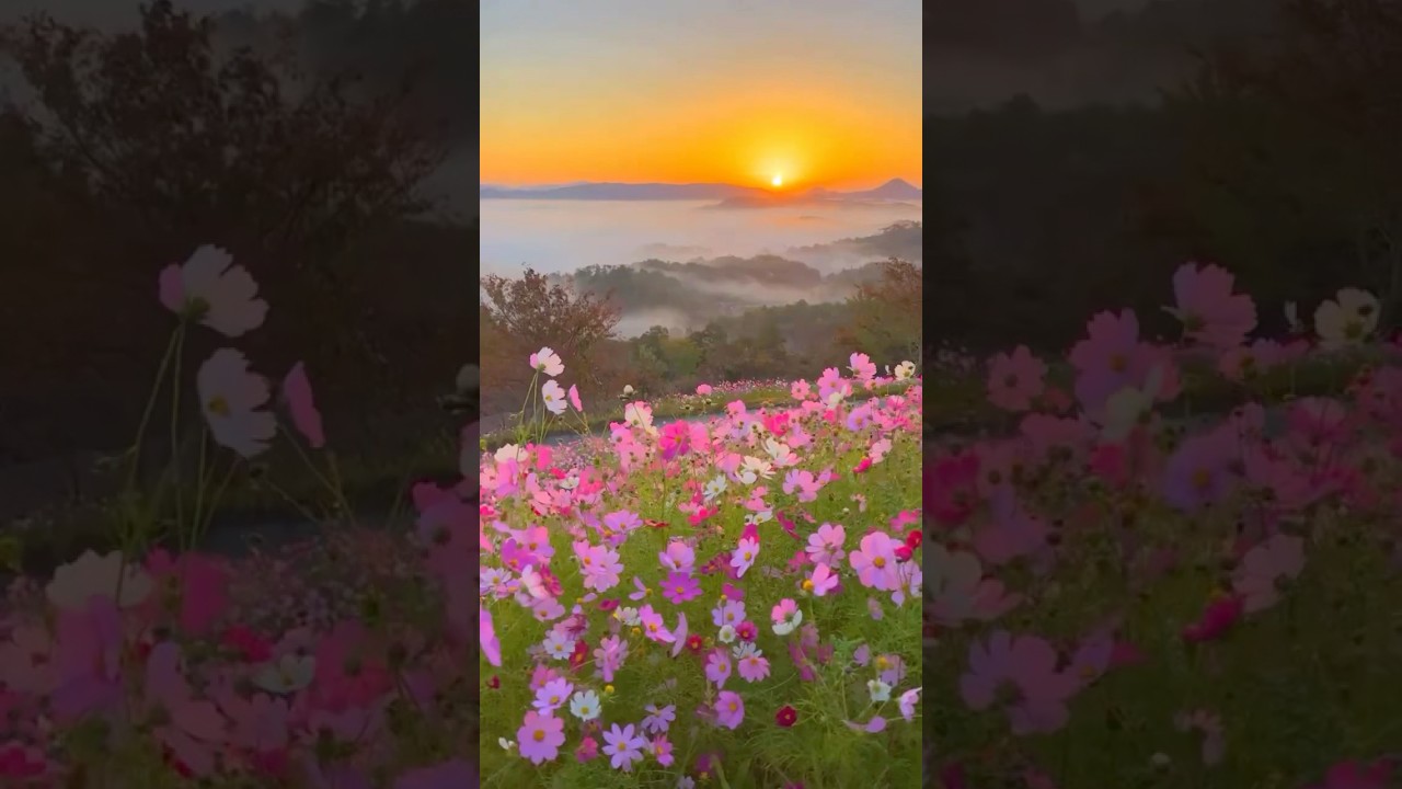 Beautiful clips - YouTube