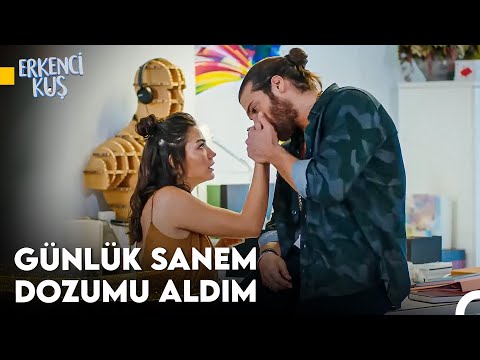 Sanem'in Aşkı Bulma Yolculuğu #47 - Erkenci Kuş