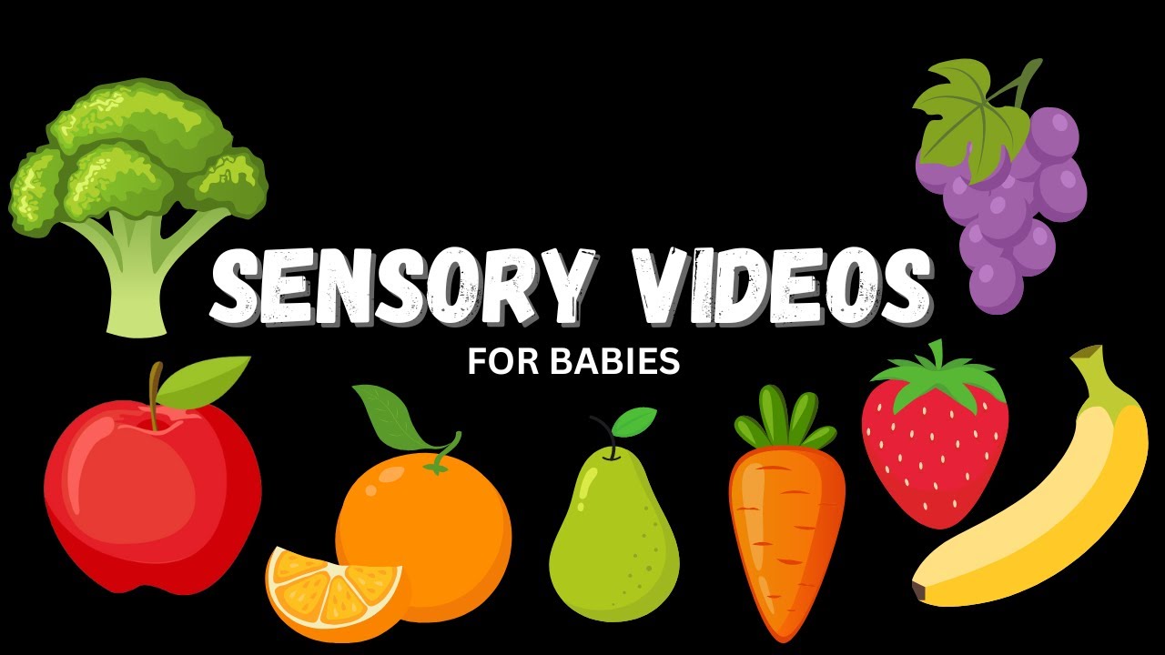 SENSORY VIDEO FOR BABIES #educationalvideos #youtubevideos - YouTube