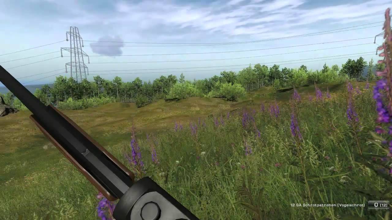 The Hunter:Fasan Jagd/Pheasant Hunting - YouTube