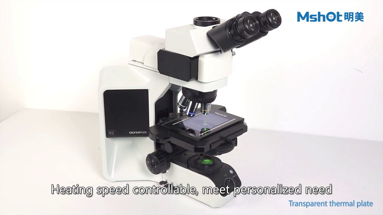 MSHOT Microscope Thermal Plate - Leader Chinese Manufacture - YouTube