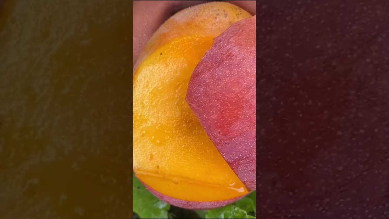 Best Cutting Fruit | See Inside Mango | Look at the Meat - YouTube