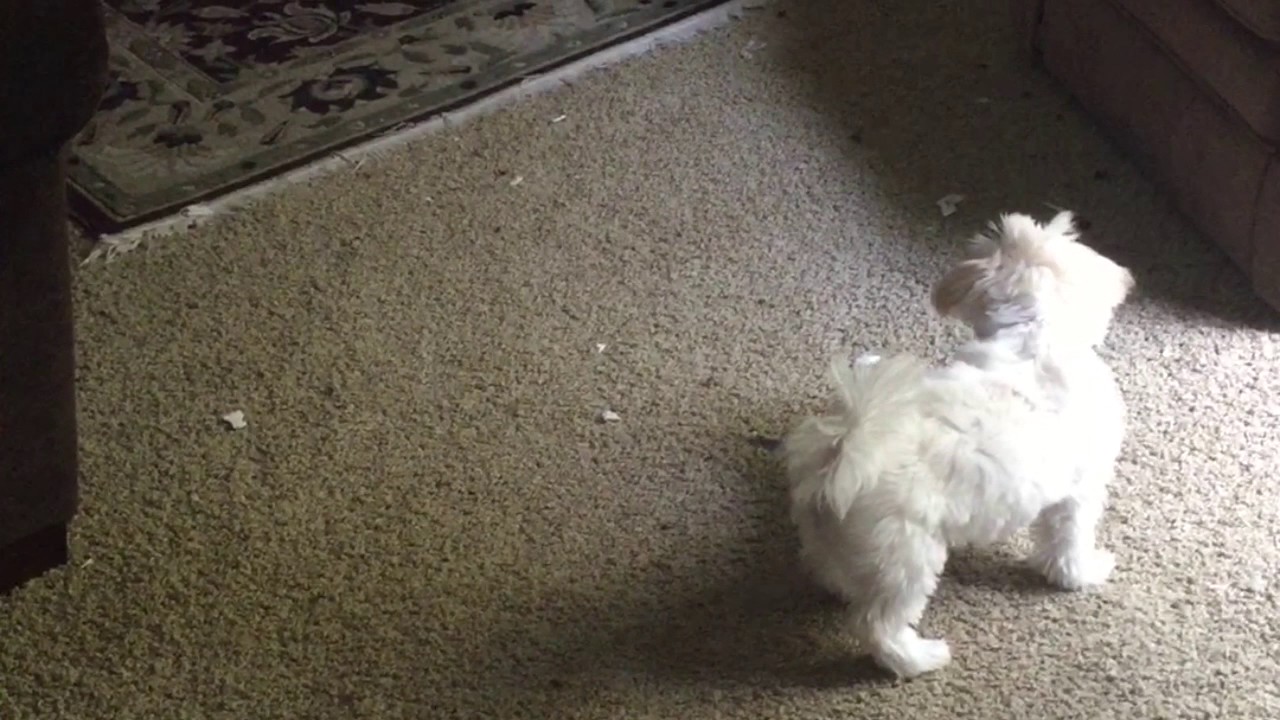 names Can Hurt - YouTube