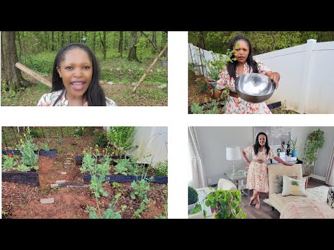 Bolted collard greens // April garden tour // My collard greens ...