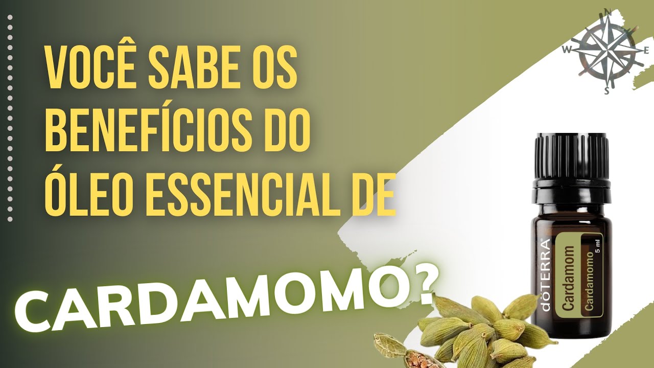 BENEFÍCIOS DO ÓLEO ESSENCIAL DE CARDAMOMO | para que serve o Óleo ...