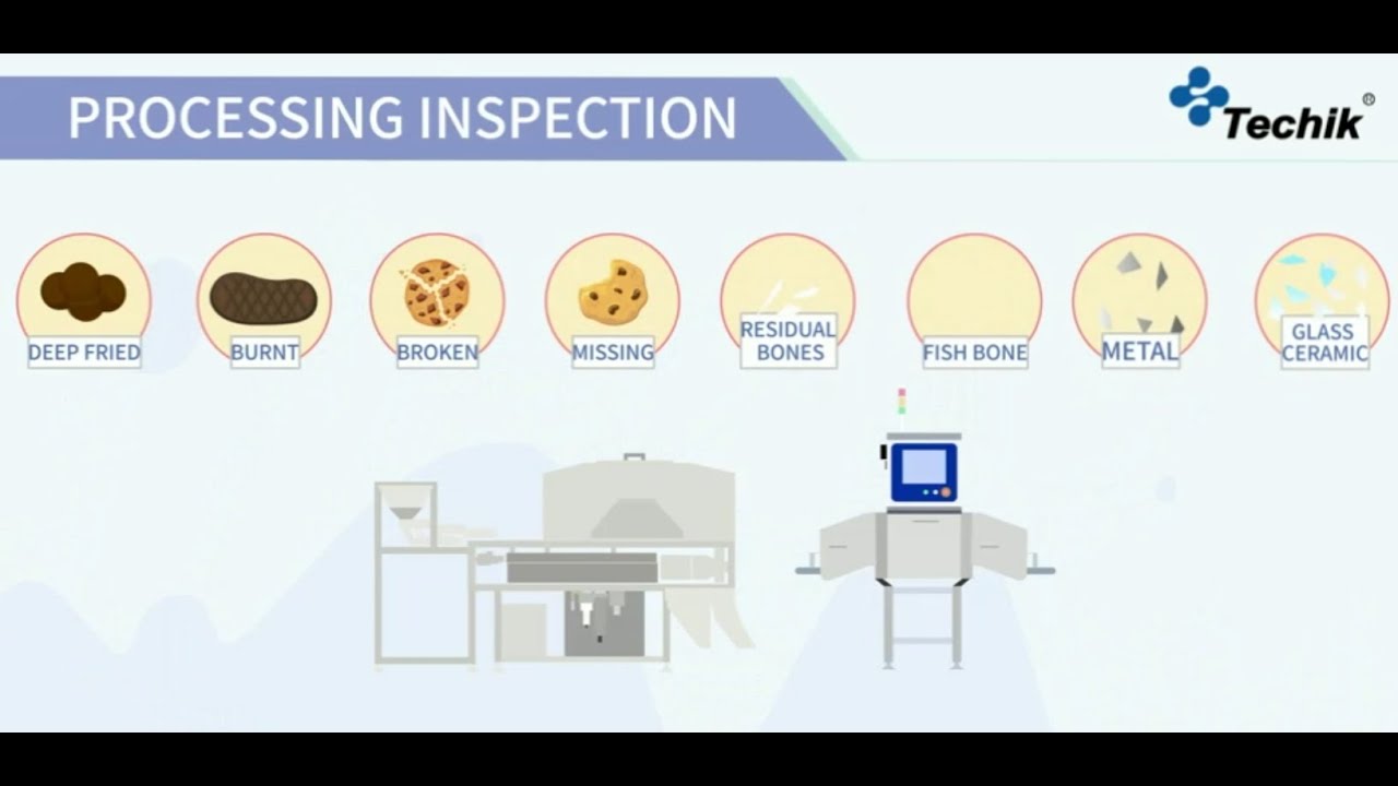 Whole Chain Inspection and Sorting Provider --- from food raw materials ...