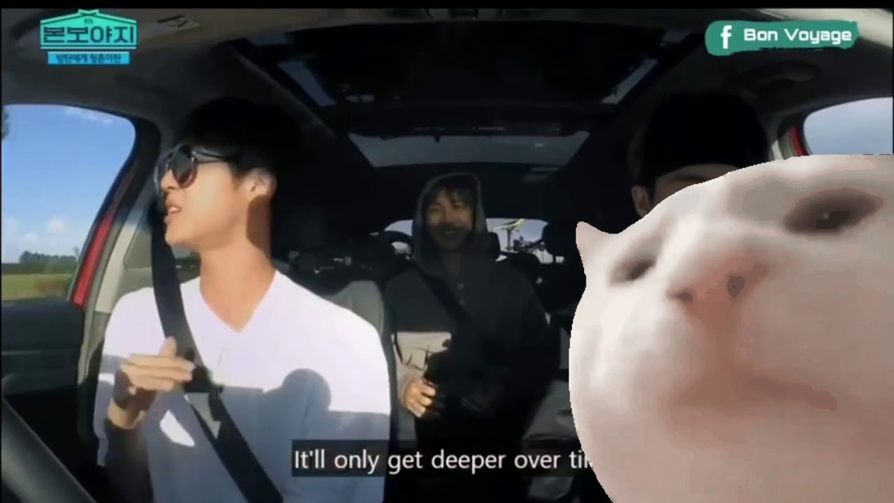 Jin rap + cat jaming meme - YouTube