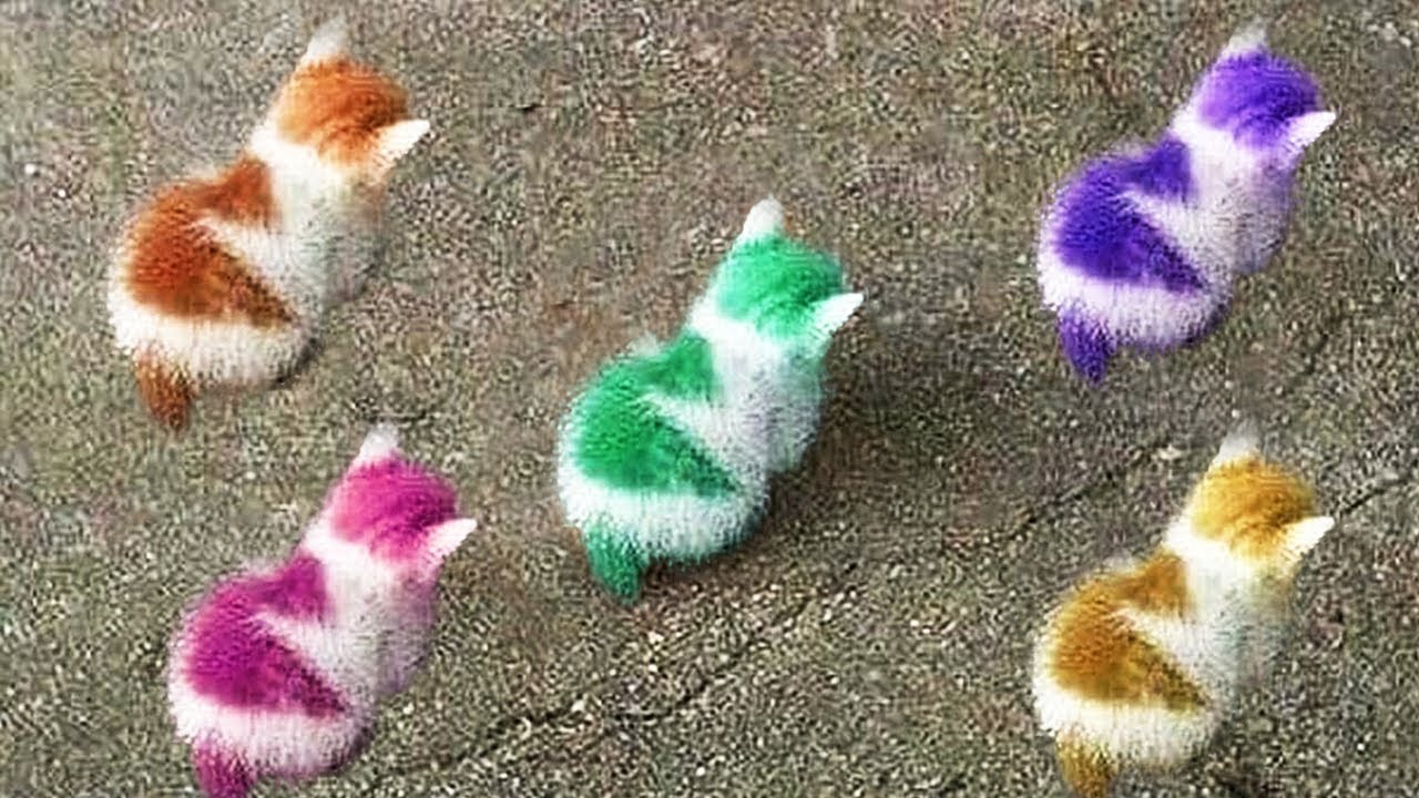 Kucing Kucing Lucu : Tingkah Lucu Kucing Bikin Ketawa Ngakak #4 | Video ...