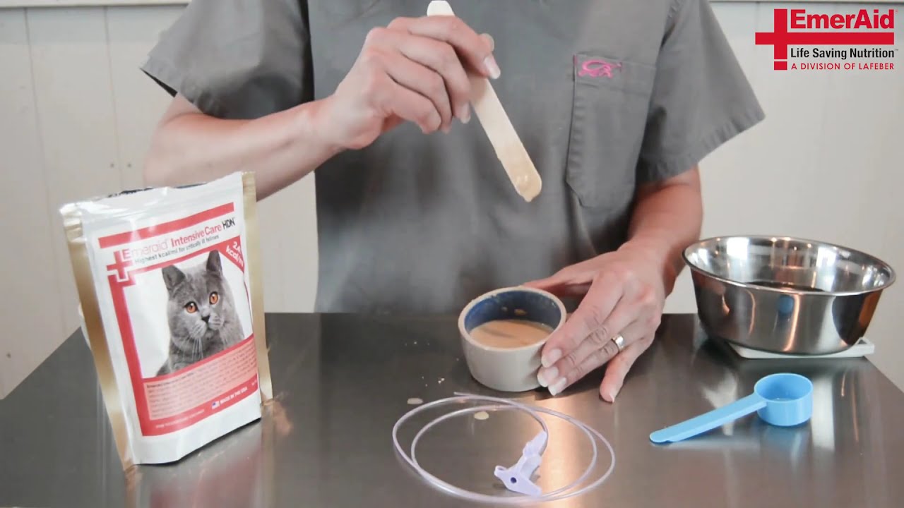 EmerAid Intensive Care Feline - How to Mix for Use With 5Fr. to 8Fr ...