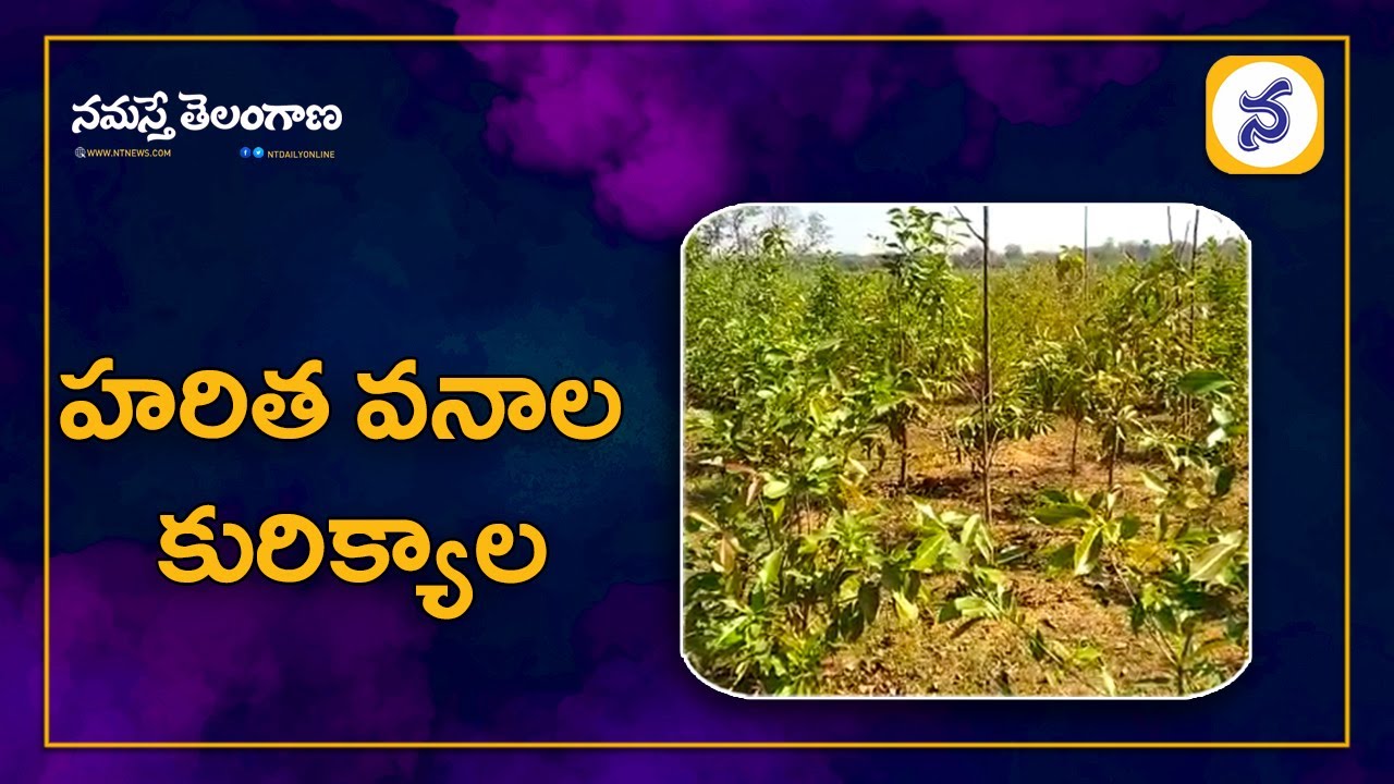 Haritha Haram | Over 10000 Sapling Plants In Karimnagar - Namasthe ...