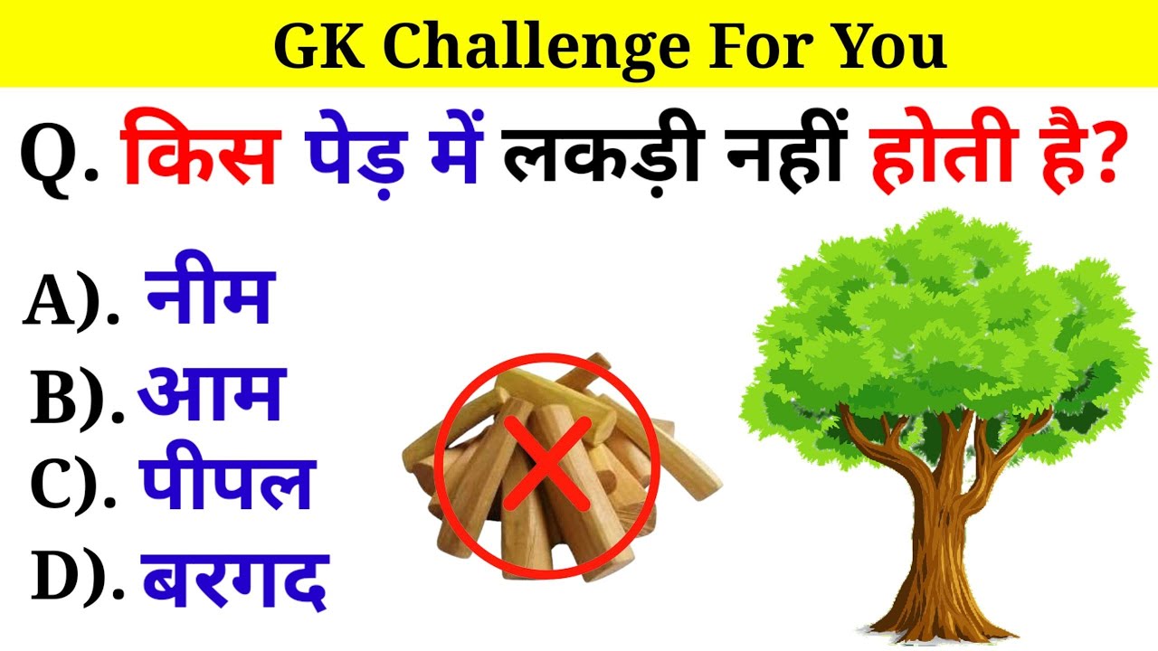 GK Questions || GK Quiz || GK Questions and Answers || General ...
