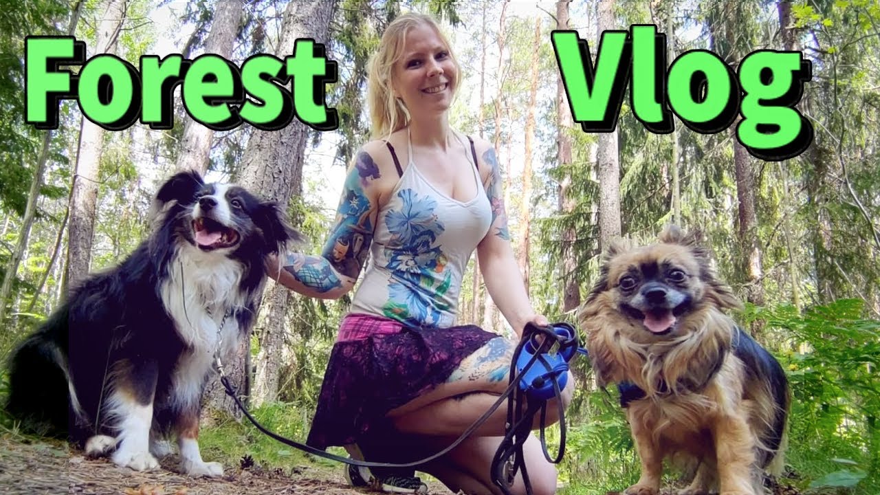 Trucker Cassie - Forest Walk Vlog! Last Vacation Day - YouTube