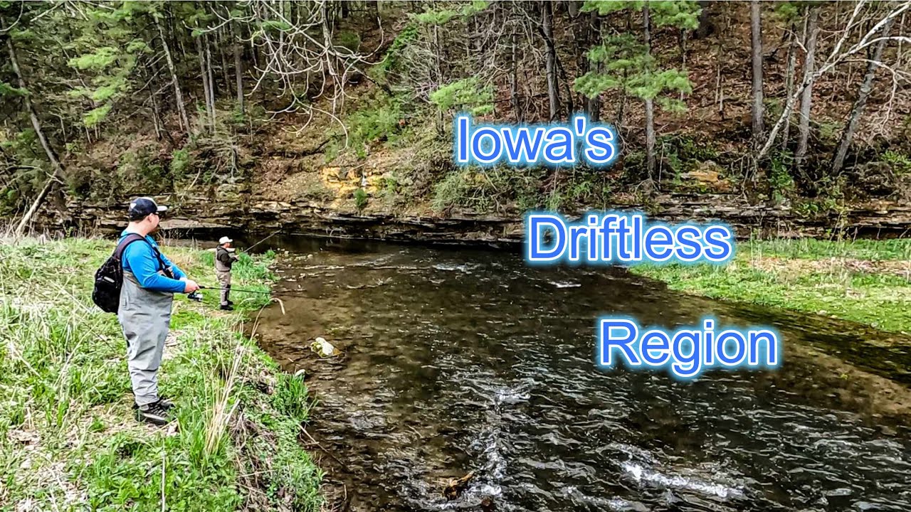 Fly Fishing for Trout in Iowa's Driftless Region 2024 | Iowa Fishing ...