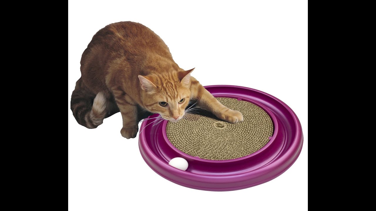 Review: Bergan Star Chaser Turbo Scratcher Cat Toy, 15.5 Diameter by ...