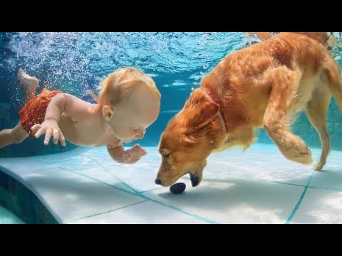 Enjoy Funny Video of Baby Playing with Animals || Funny Animals ...
