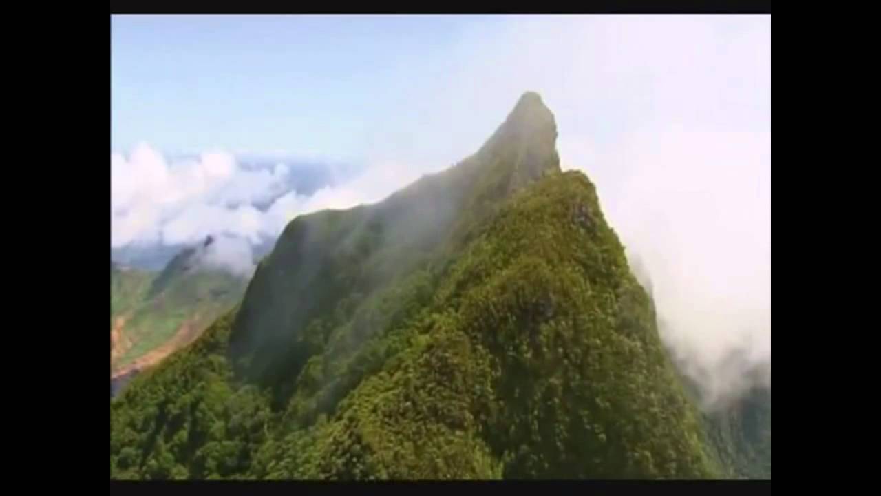 Bioma de Islas Oceanicas - YouTube