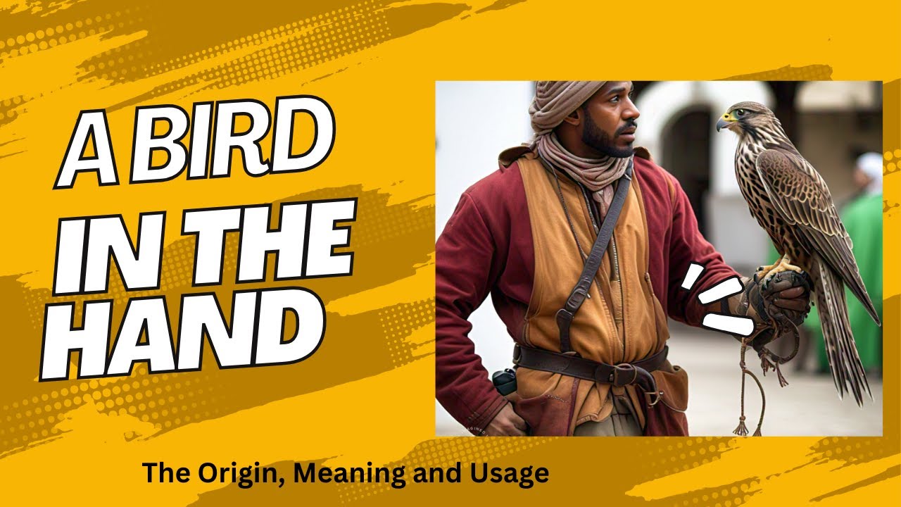 A Bird in the Hand: The Origin, Meaning and Usage - YouTube