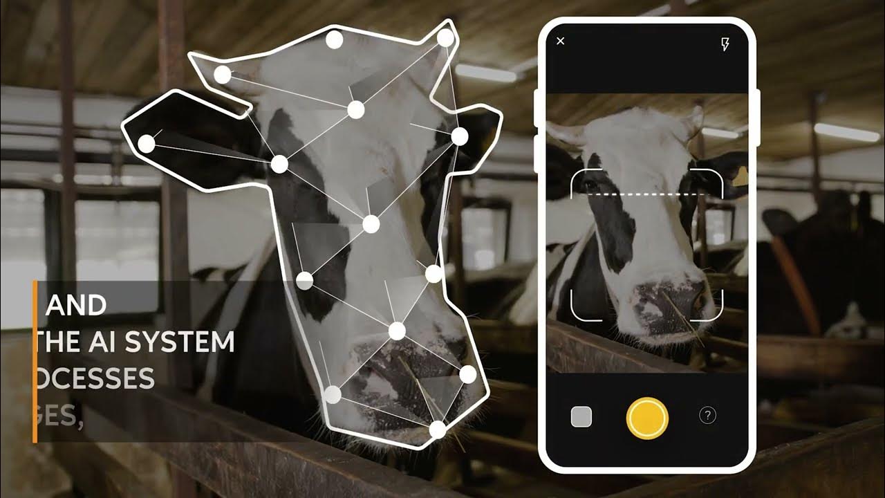 Snap Animal App - Artificial intelligence app for contactless animal ...