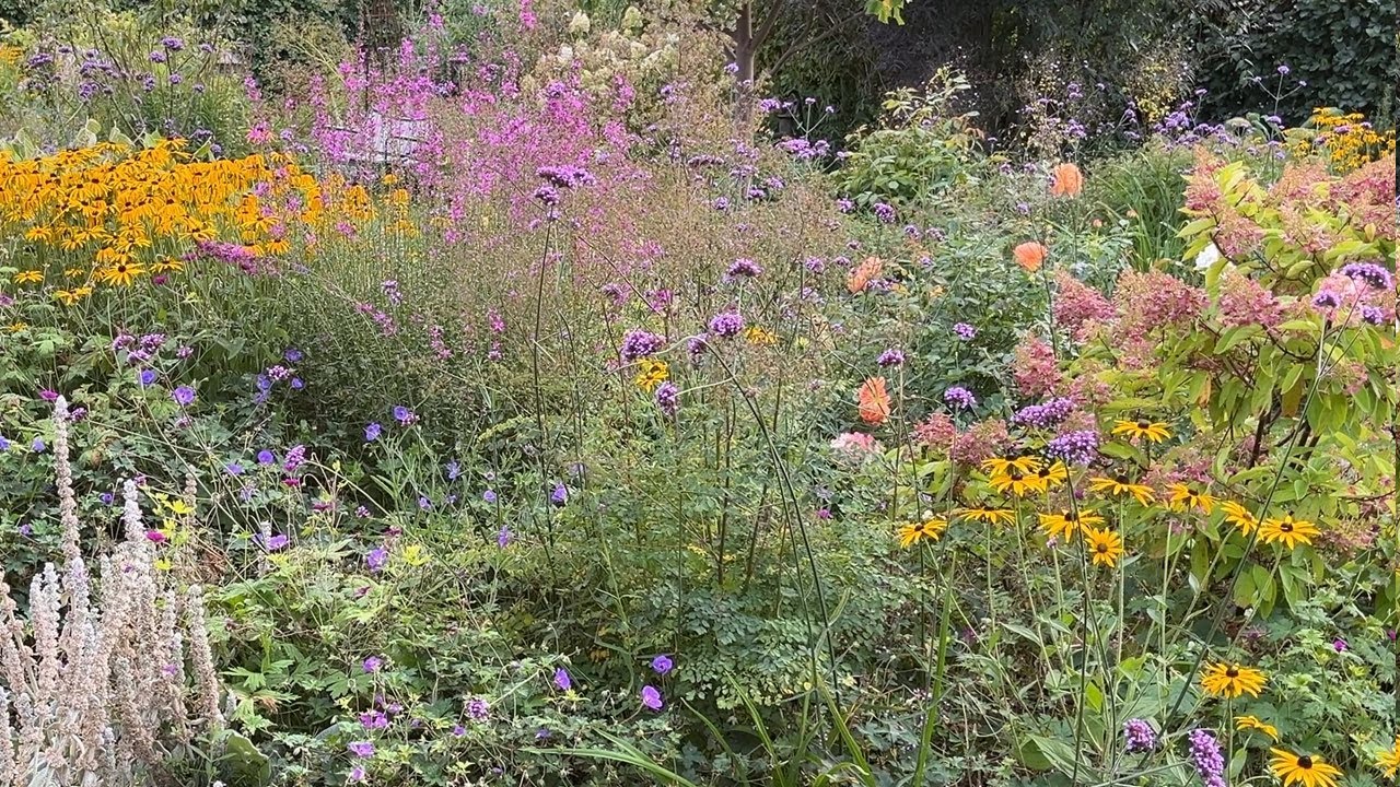 Early September 2024 Garden Tour With Plant Names - YouTube
