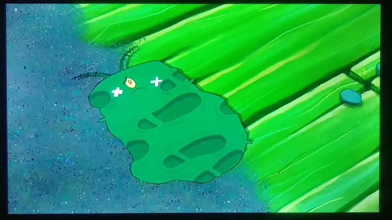 Scotland Teams finds that plankton in Atlantic Ocean is all but wiped ...