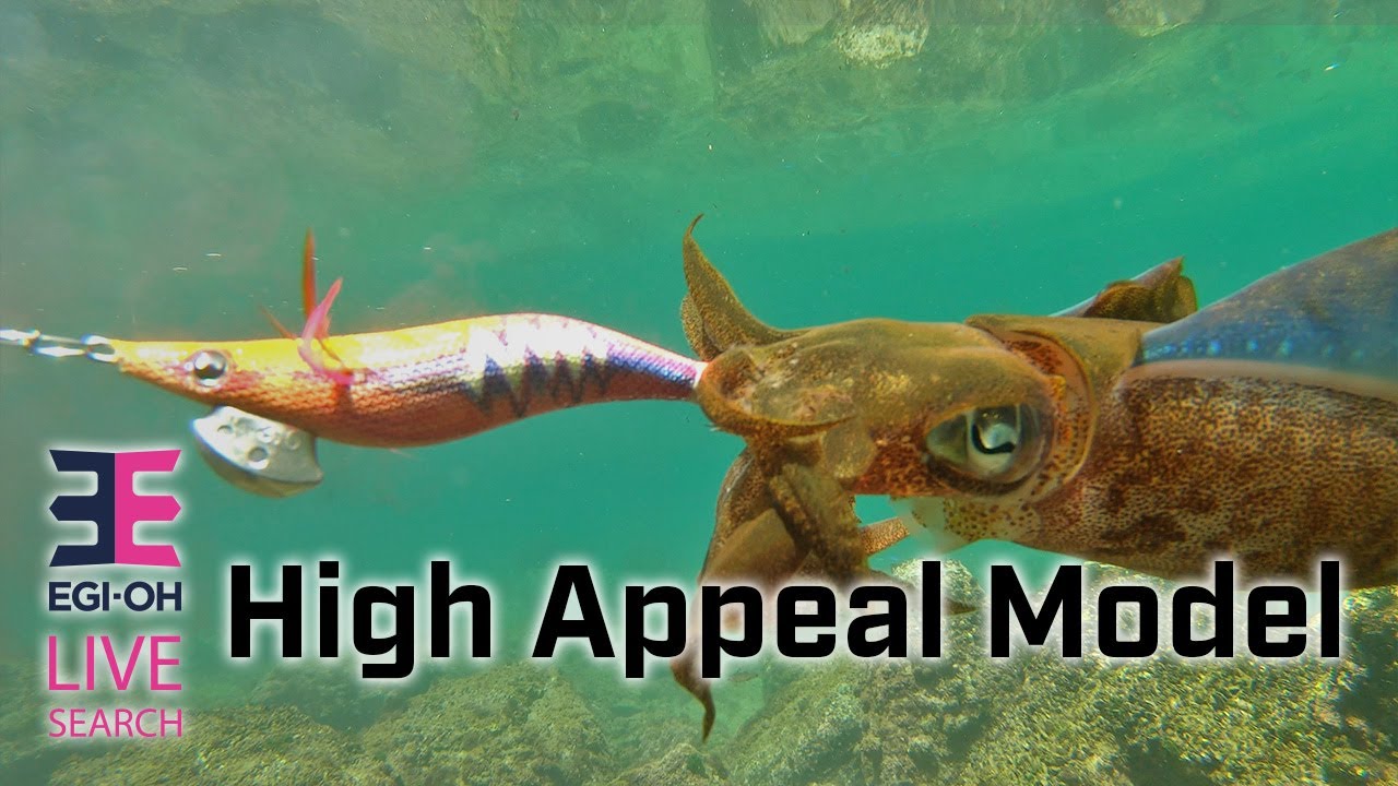 New Squid Jig 「EGI OH LIVE SEARCH」debuts from YAMASHITA - YouTube