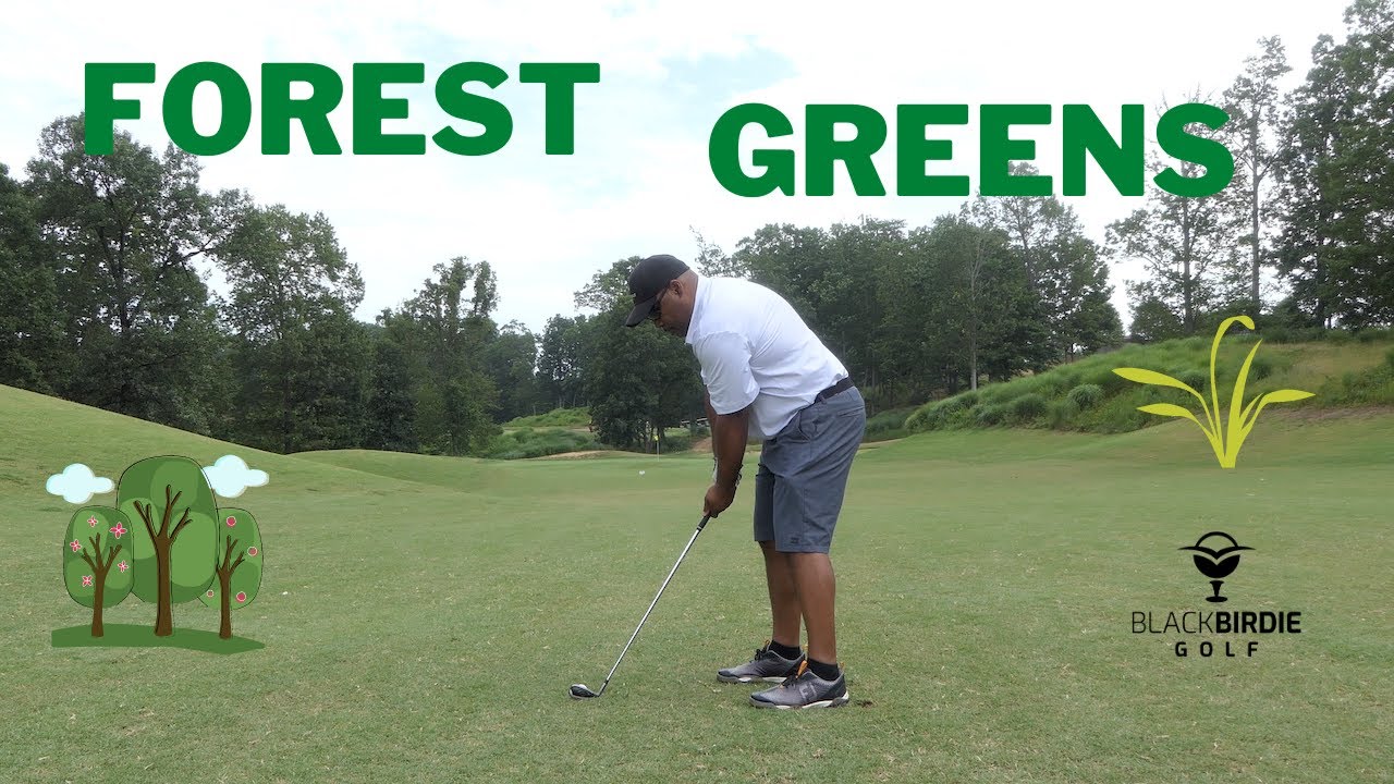Forest Greens Golf Course | Course Vlog - YouTube