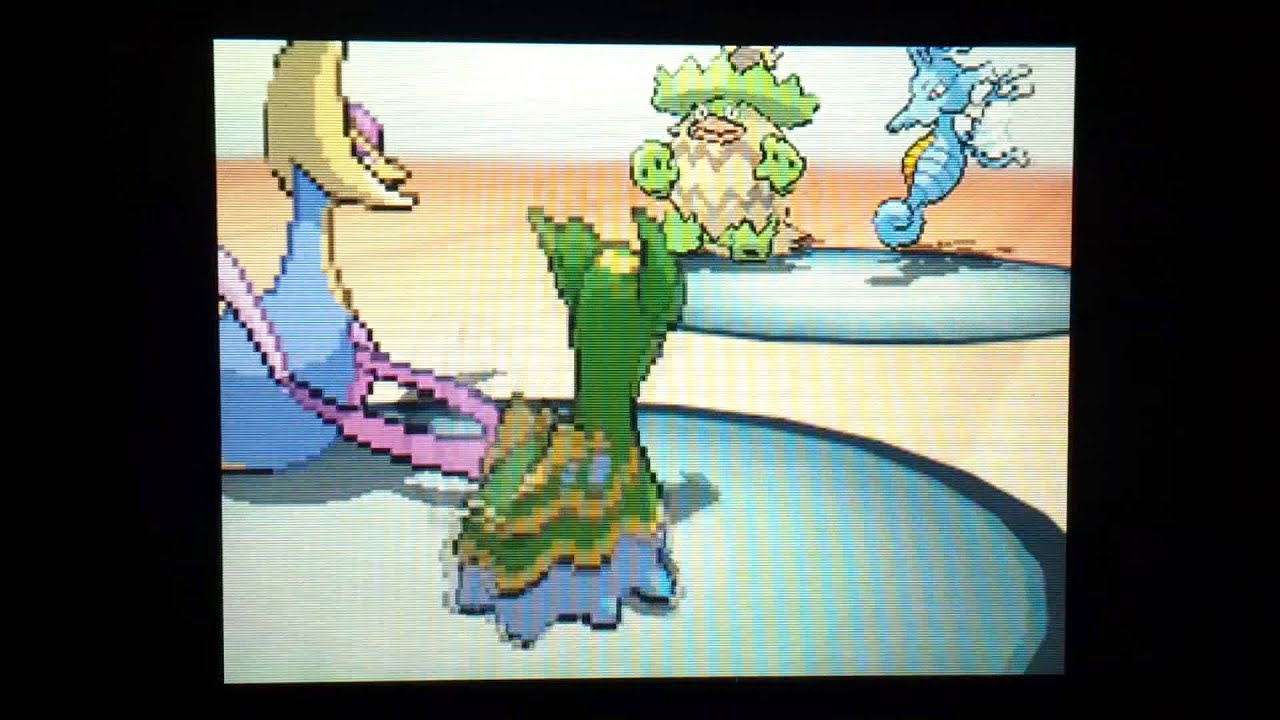 Pokemon NW Regional Championship VGC round 4 - YouTube