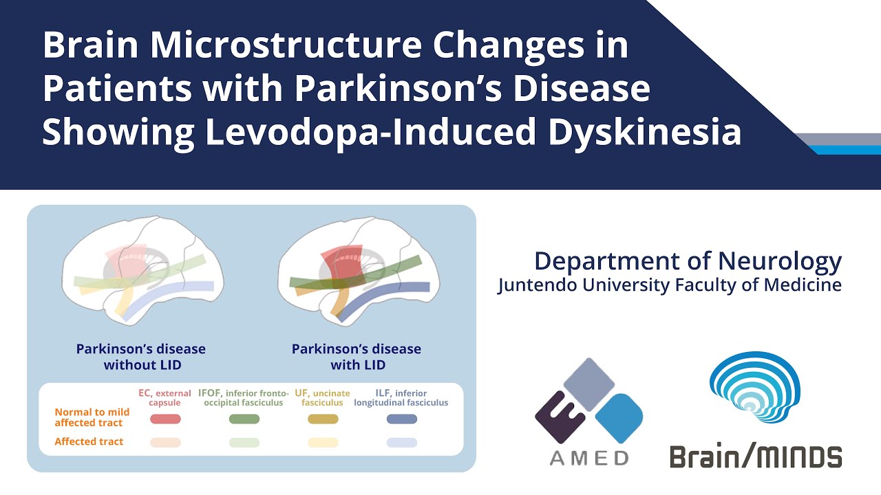 White Matter Changes in Patients with Parkinson's Disease Showing ...