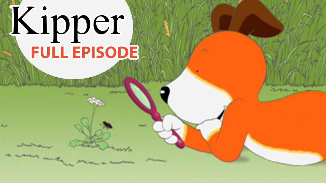 Kipper and the Magnifying Glass | Kipper the Dog | Season 2 Full ...