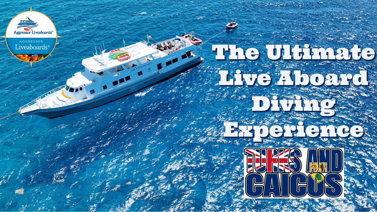 The Turks & Caicos Aggressor II Expedition - YouTube