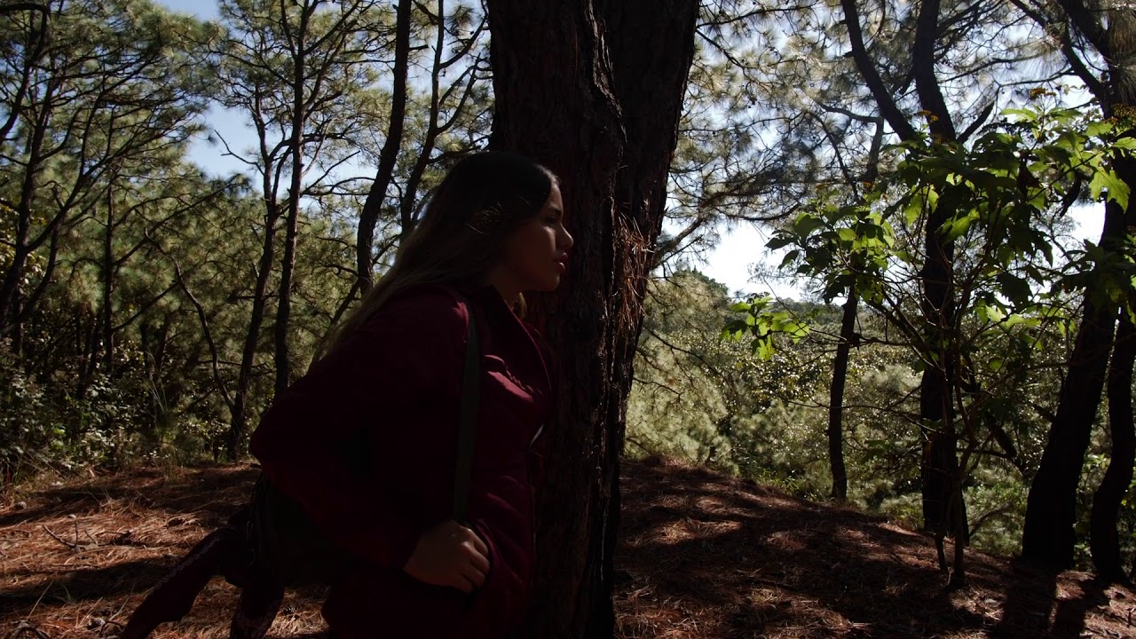 Nature's Video Woman Walking Through Trees HD Free to use No Copyright ...