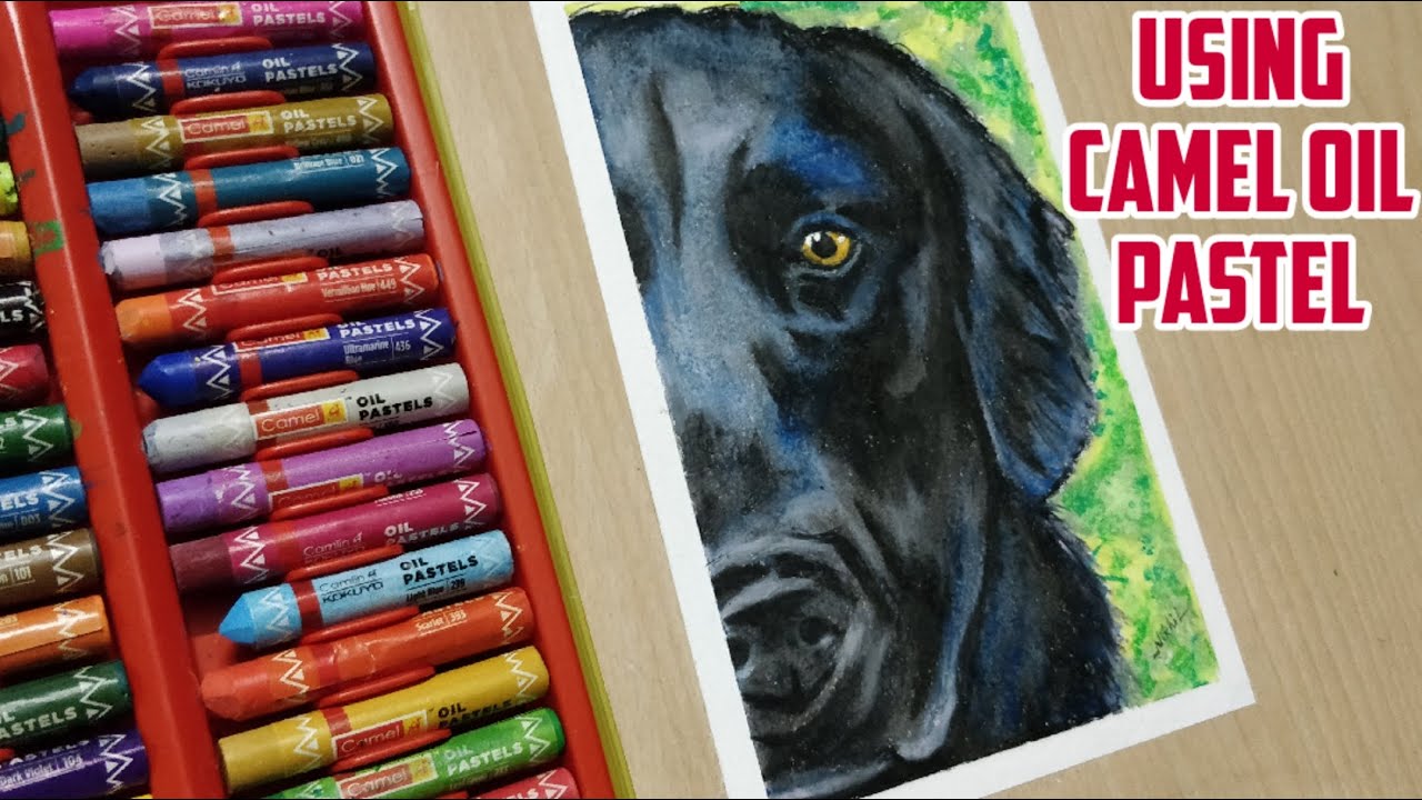 Realistic Oil Pastel Drawing | Step By Step Dog Sketch - YouTube
