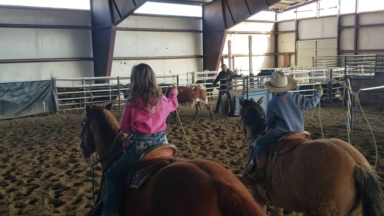 Roping practice!! - YouTube