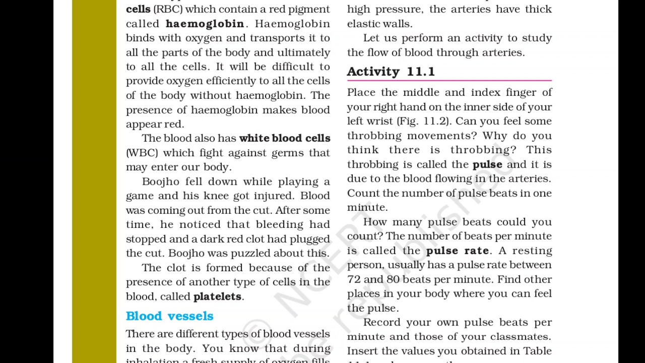 Class 7 science exercise of chapter 10 activity 11.1 - YouTube