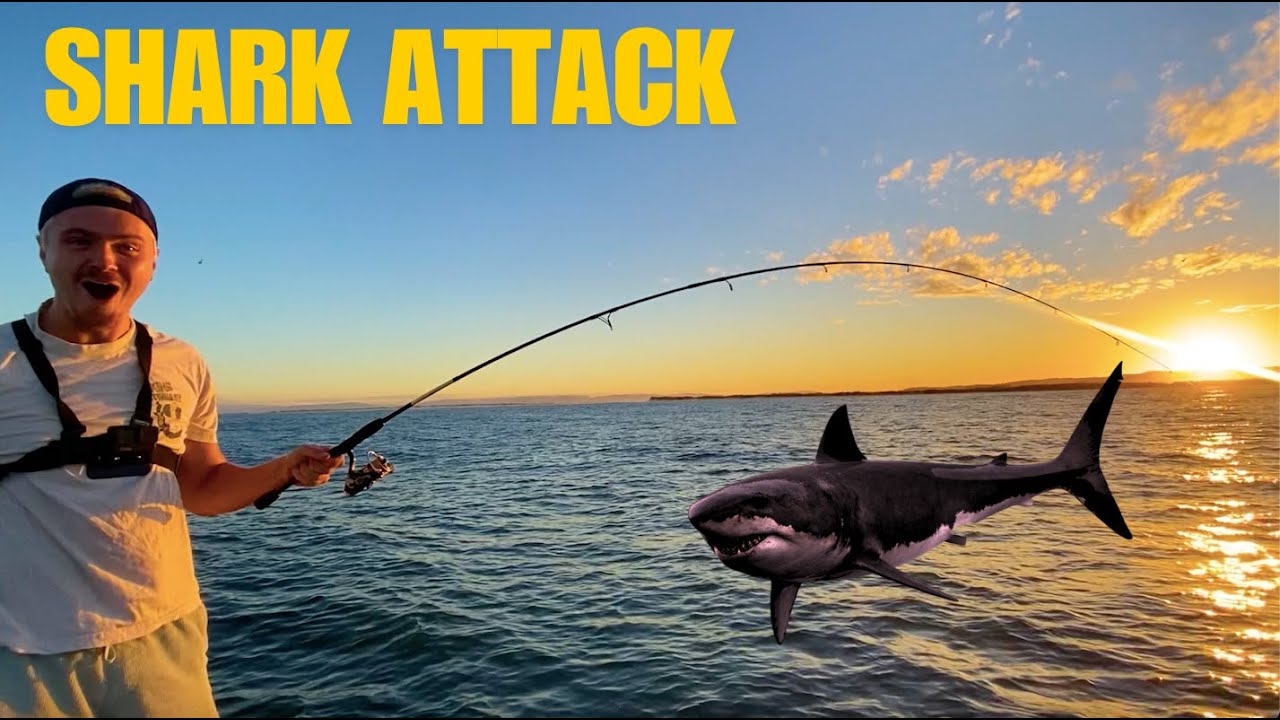 SHARK ATTACK WHILE FISHING - Hooked a Big Shark on The Gold Coast Tuna ...