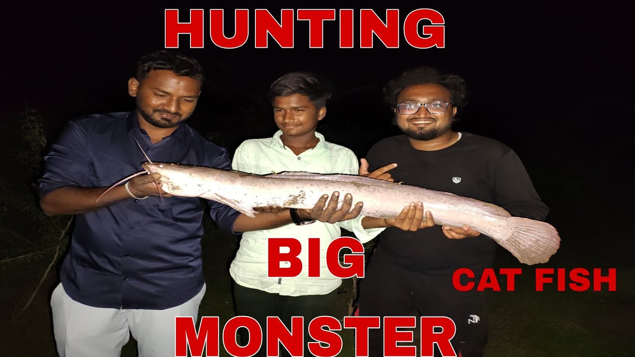 Incredible Huge Catfish 5 feet | Catfish Catch! 50kg Monster Fish ...