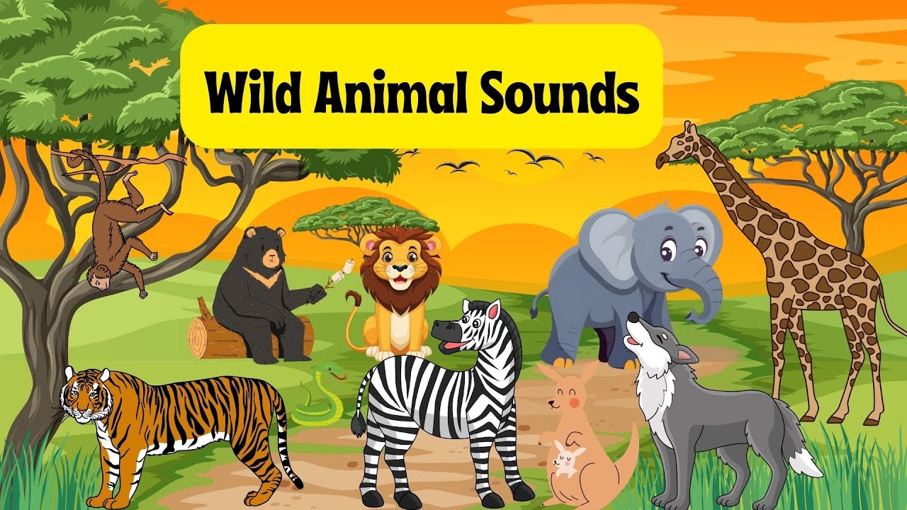Animal Sounds Song (Wildlife) | Nursery Rhymes for Kids | Little Bunny ...