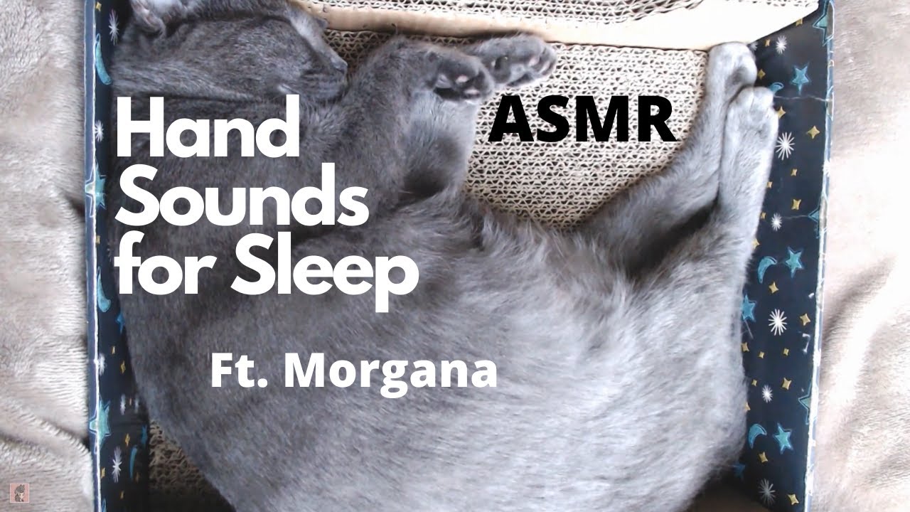 Stannky Asmr Helping You And Morgana Sleep With Hand Sounds No Talking Youtube